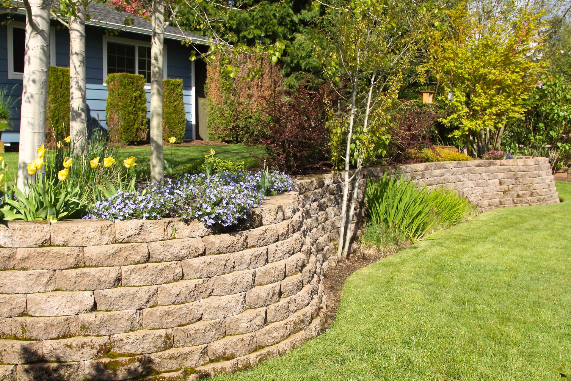 Ultimate Guide To Timber Retaining Walls Australia